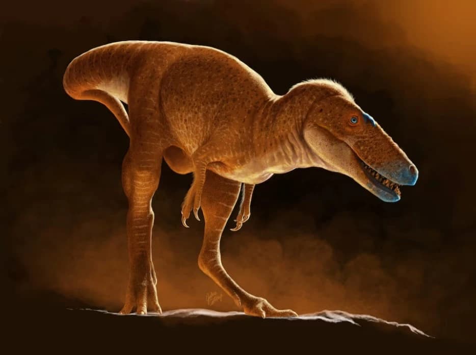 暴龙的祖先——“蒙古汗赫龙”（龙王子） | Mono.mn